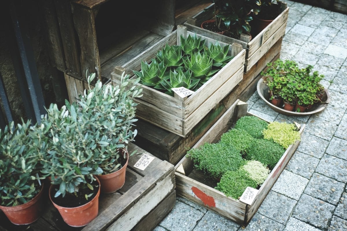 Porch Plant Crates - Screen Porch Living