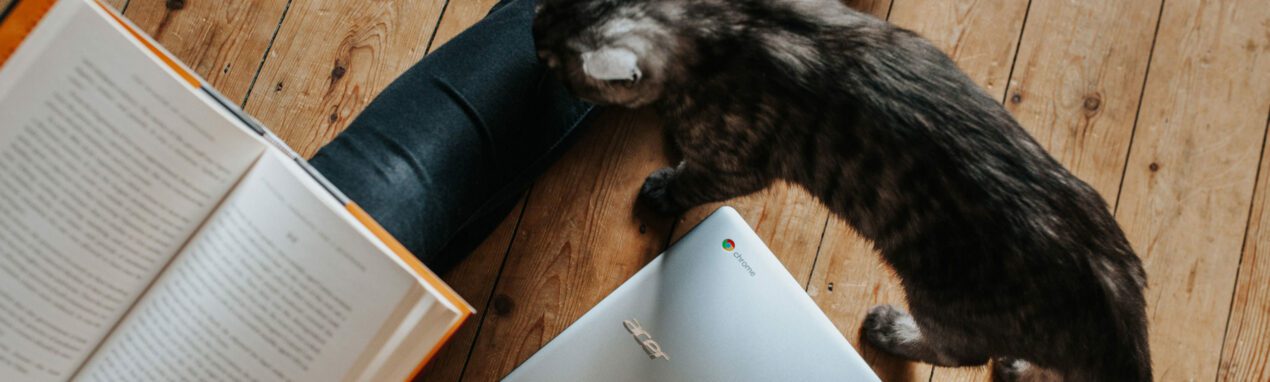 How to Screen a Porch Blog - Screen Porch Living